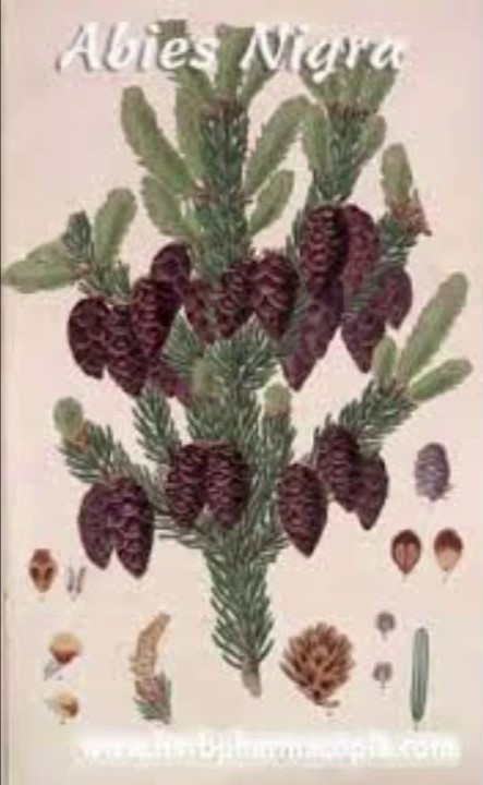 Miracet, the Best Quit Smoking Aid